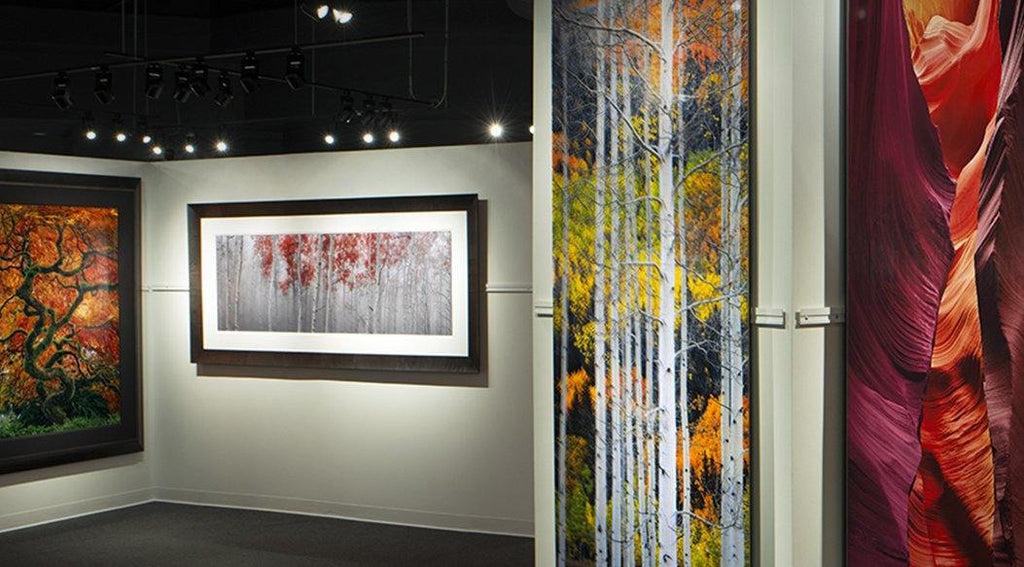 New LIK FORUM is Peter Lik's Largest Gallery Yet!
