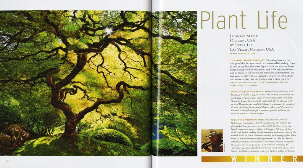 Lik's Masterwork, Inner Peace, Goes to the Smithsonian | LIK Fine Art