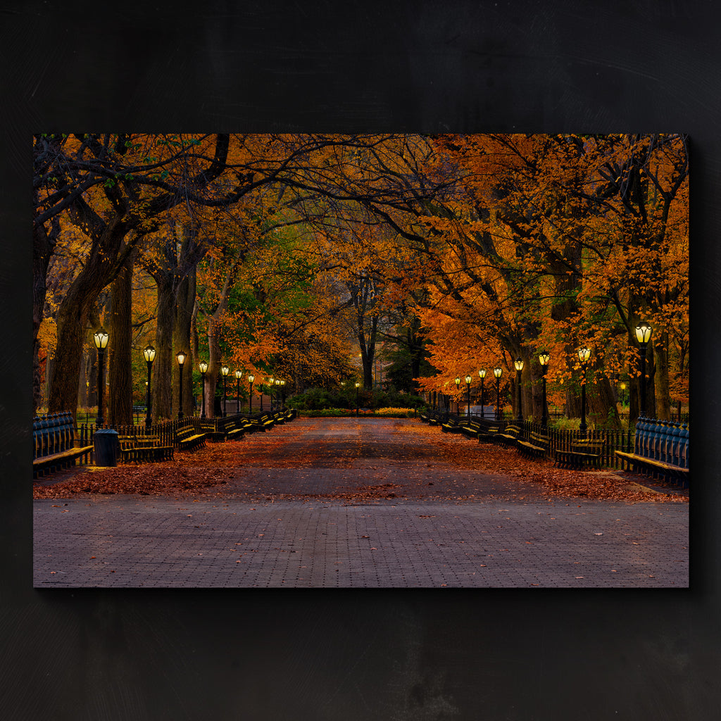 Evening in the Park | Fine Art Photograph by Peter Lik