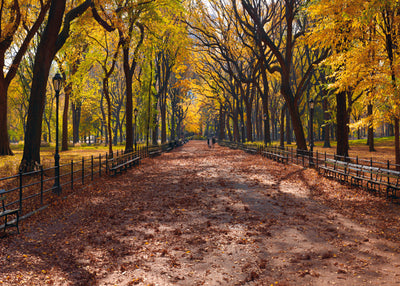 Peter Lik NYC | NYC Art Gallery | LIK Fine Art