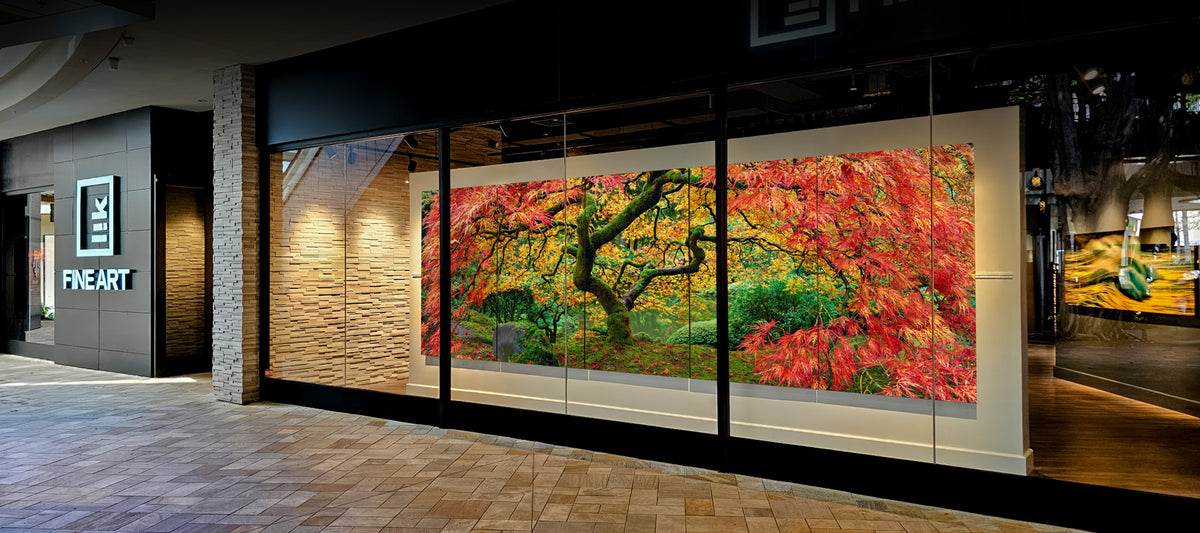 Peter Lik Honolulu Gallery – Hawaii International Market Place