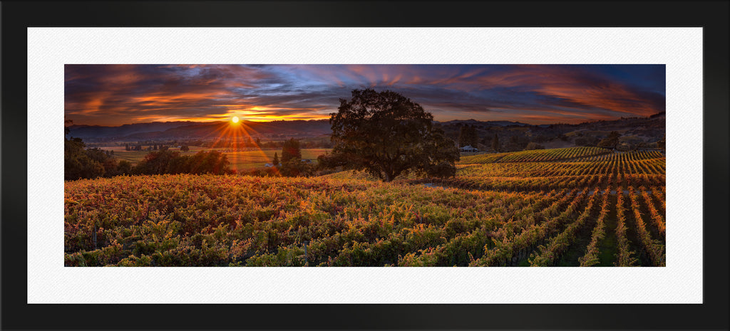 Peter Lik - Golden Harvest | Fine Art Photograph