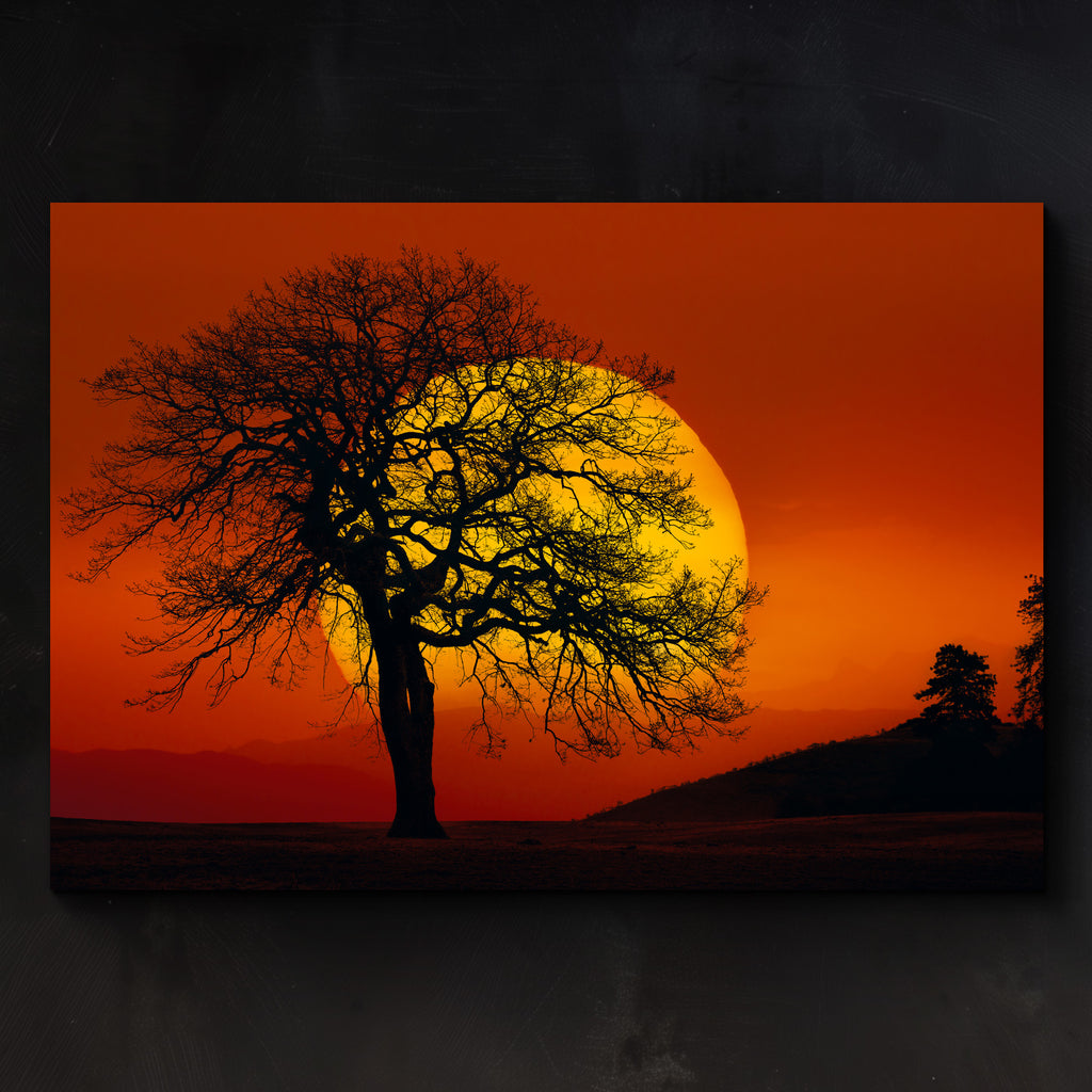 Peter Lik - In Search of the Sun | Fine Art Photograph