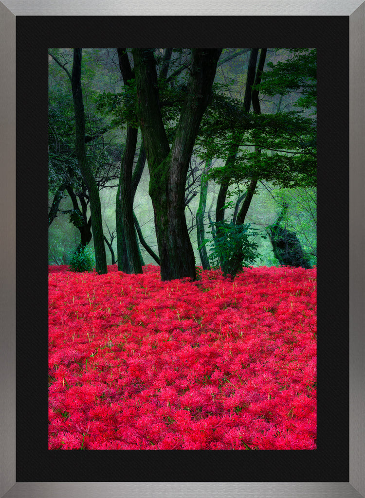 Peter Lik - Morning Ember | Fine Art Photograph