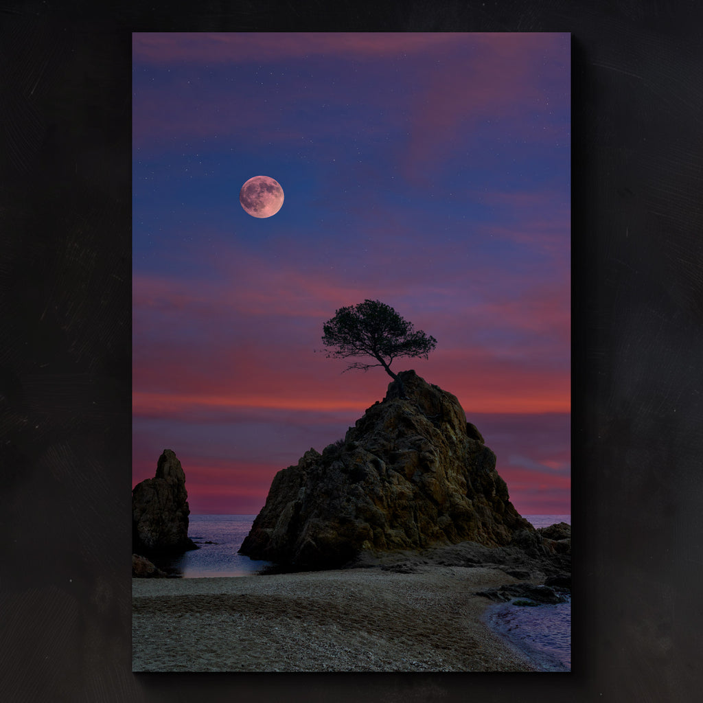 Tree on Coastal Rock at Sunset | Open Edition Print - Peter Lik