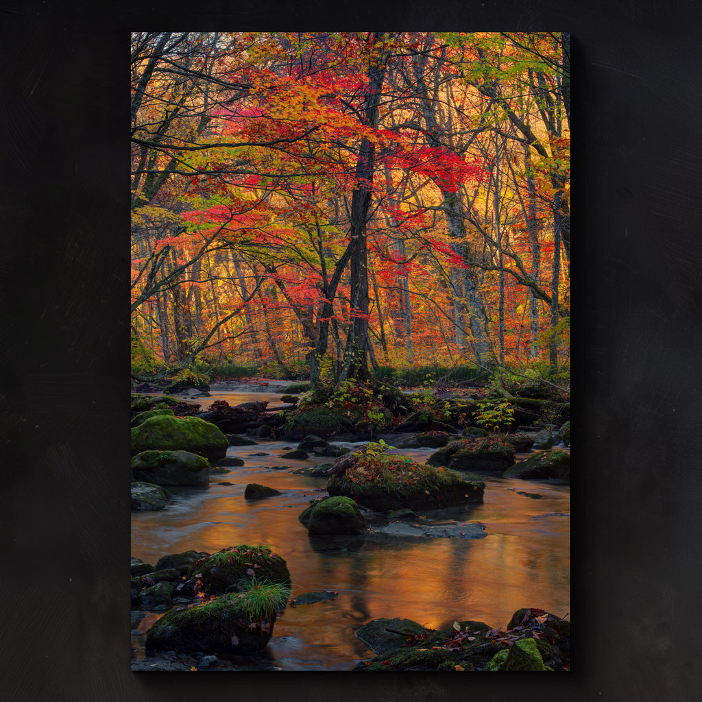 Autumn Stream in Japan | Open Edition Print - Peter Lik