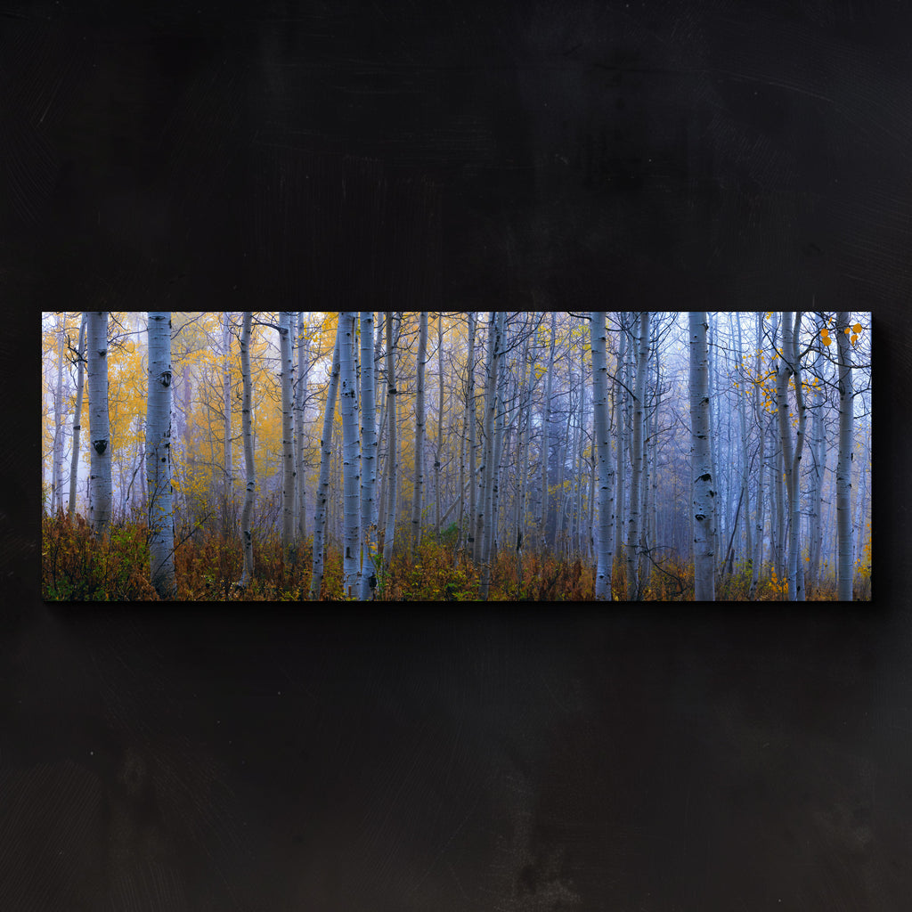 Autumn Forest in Utah | Open Edition Print - Peter Lik