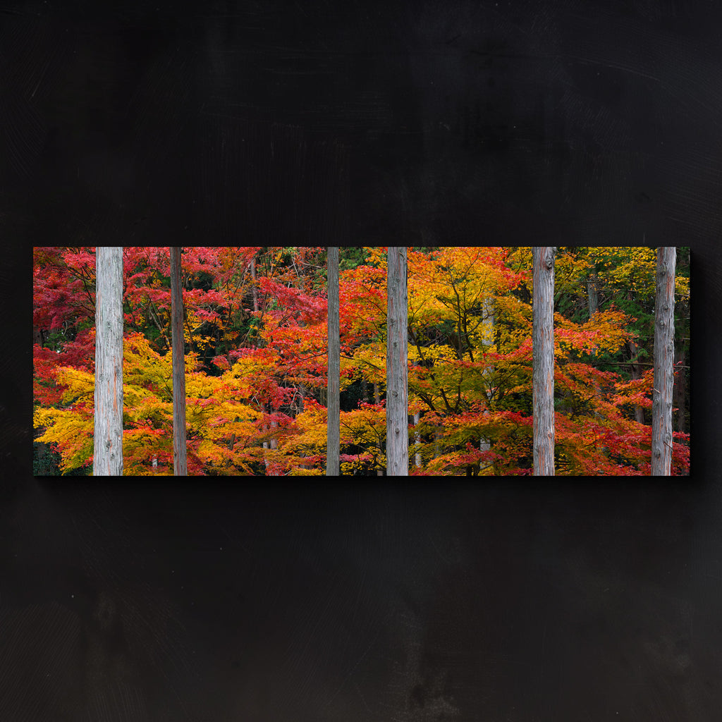 Autumn Forest Photography | Open Edition Print - Peter Lik