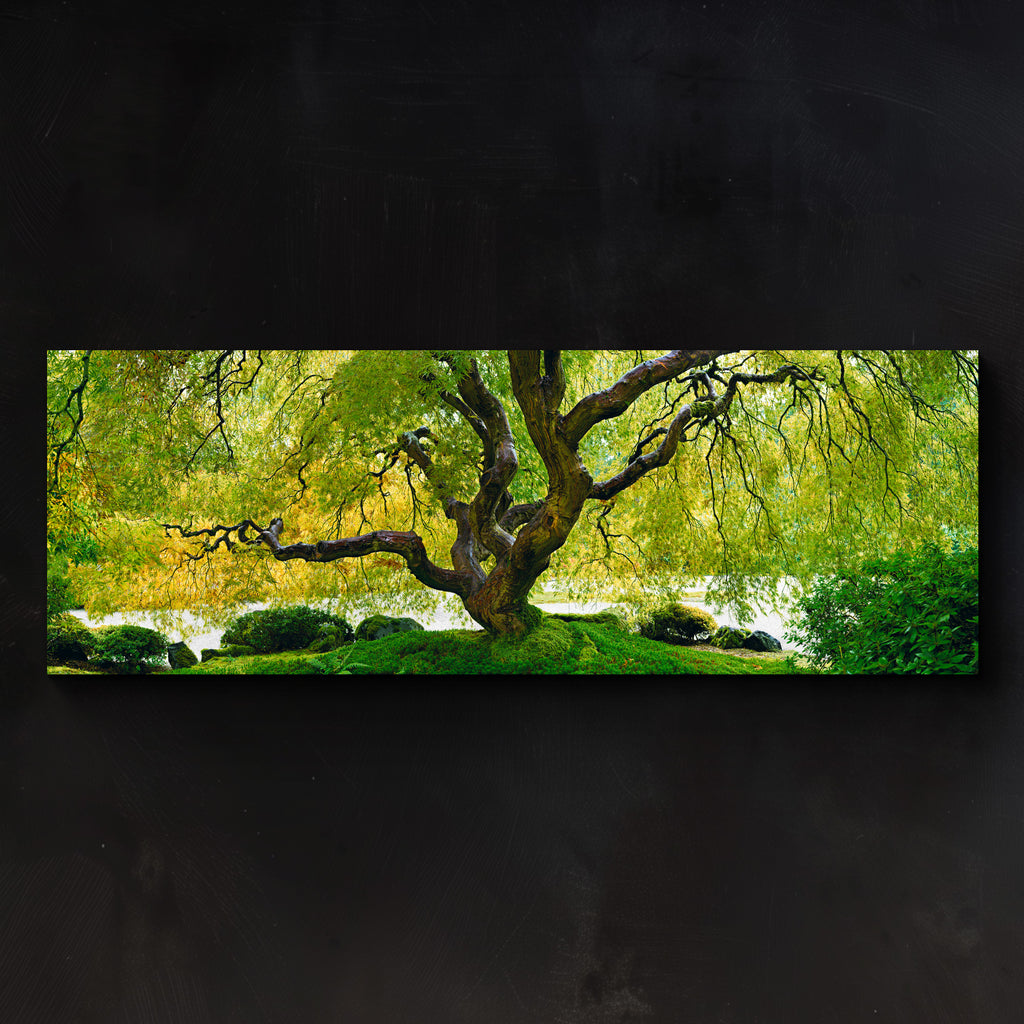 Tree of Serenity. Fine Art Photograph by Peter Lik.