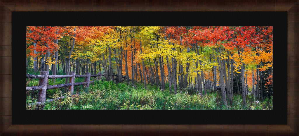 Peter Lik - Artist Point | Fine Art Photograph