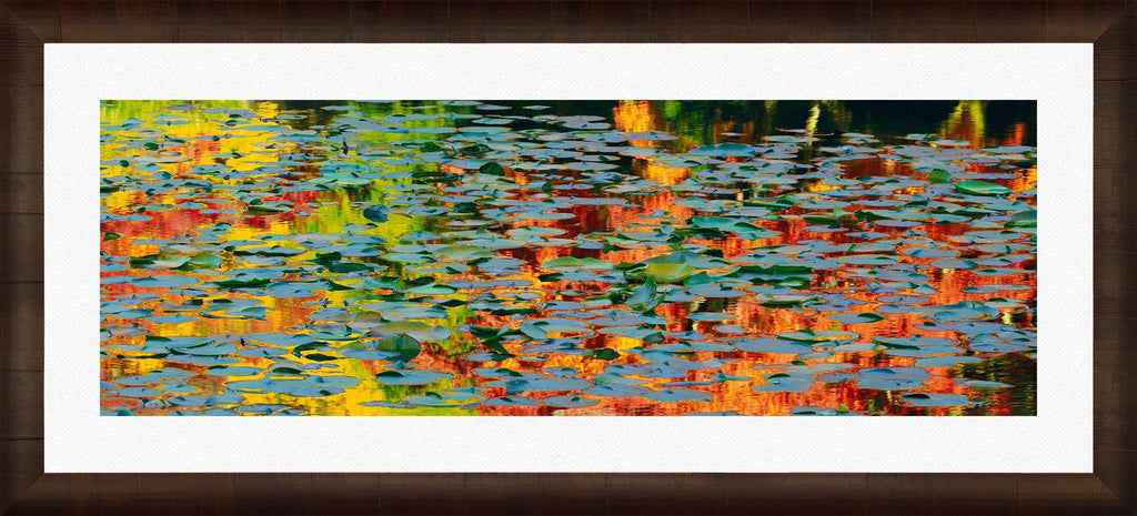 Autumn Impressions - Fine Art Photograph by Peter Lik