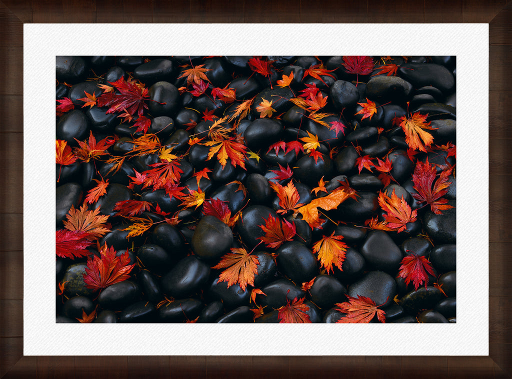Autumn Moods - Fine Art Photograph by Peter Lik
