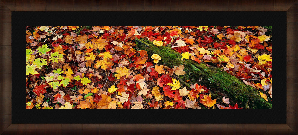 Autumn Palette - Fine Art Photograph by Peter Lik