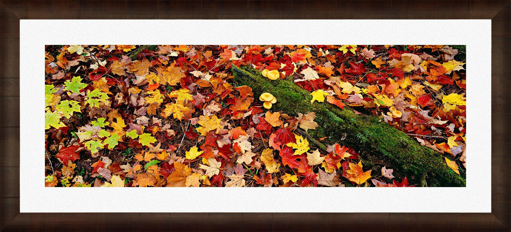 Autumn Palette - Fine Art Photograph by Peter Lik