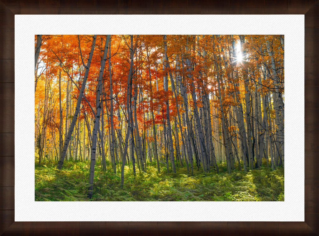 Autumn Splendor - Fine Art Photograph by Peter Lik