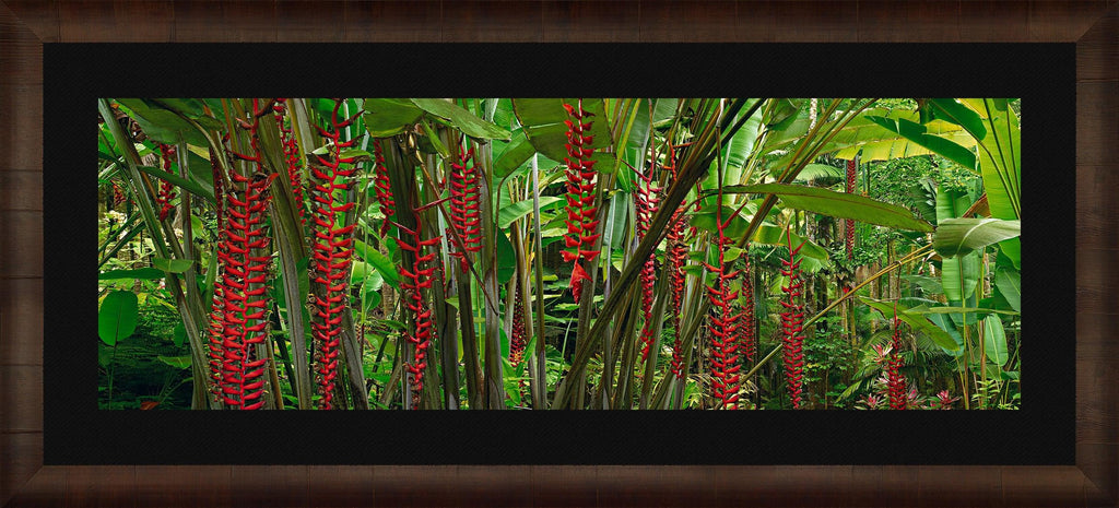 Blushing Forest - Fine Art Photograph by Peter Lik