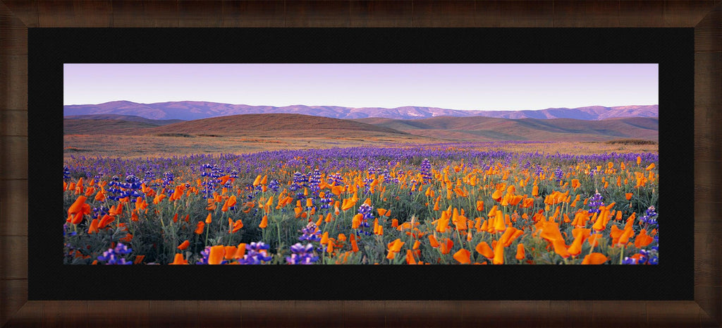 Firefly | Fine Art Photograph by Peter Lik