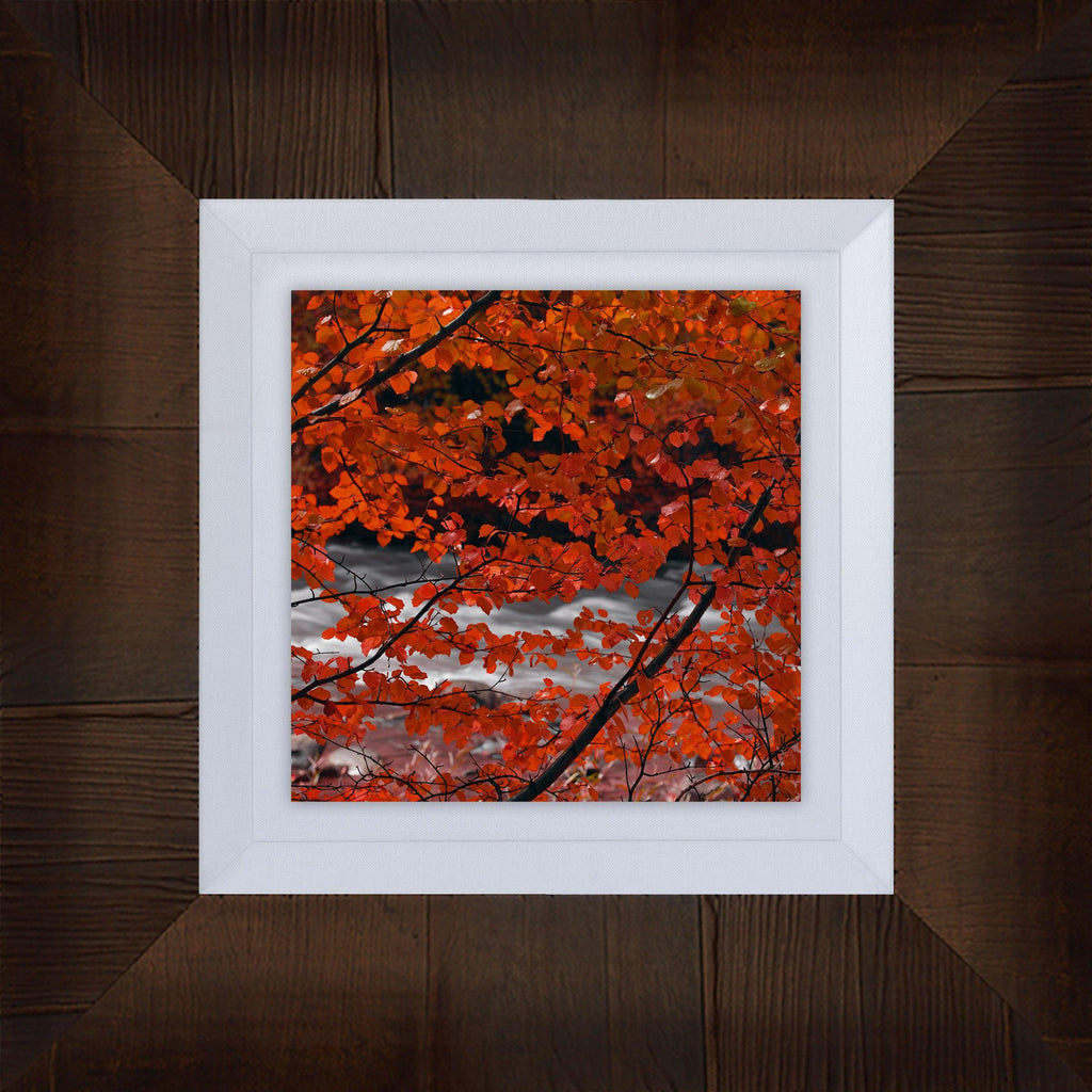 Cigar Leaf - Element Frames by Peter Lik