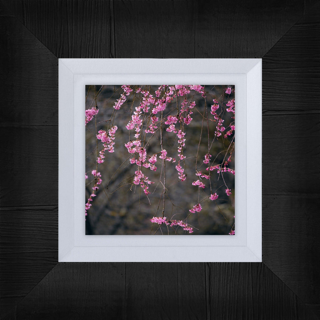 Dark Ash - Element Frame by Peter Lik