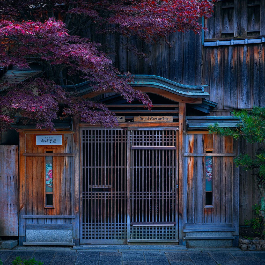 Peter Lik - Hidden World | Fine Art Photograph