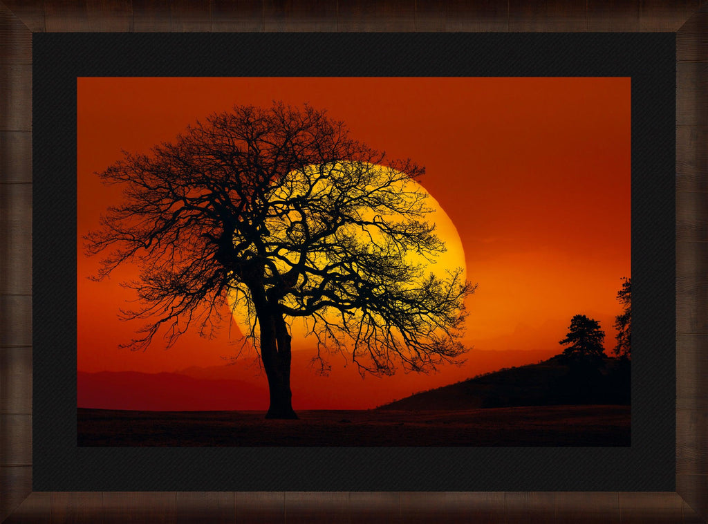 Peter Lik - In Search of the Sun | Fine Art Photograph