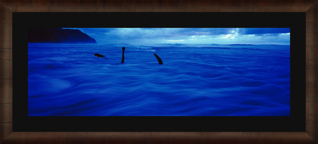 Peter Lik - Moonlight Head | Fine Art Photograph