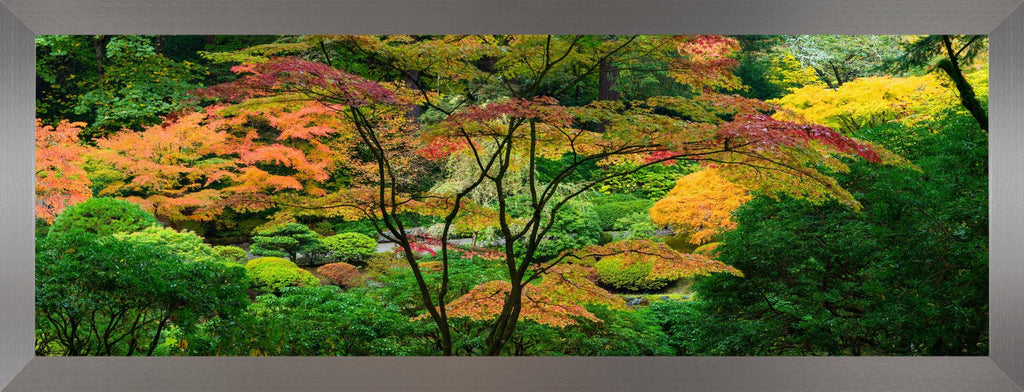 Autumn Colors in Oregon | Open Edition Print - Peter Lik