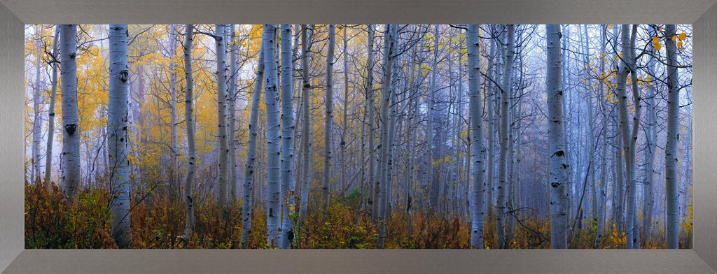 Autumn Forest in Utah | Open Edition Print - Peter Lik