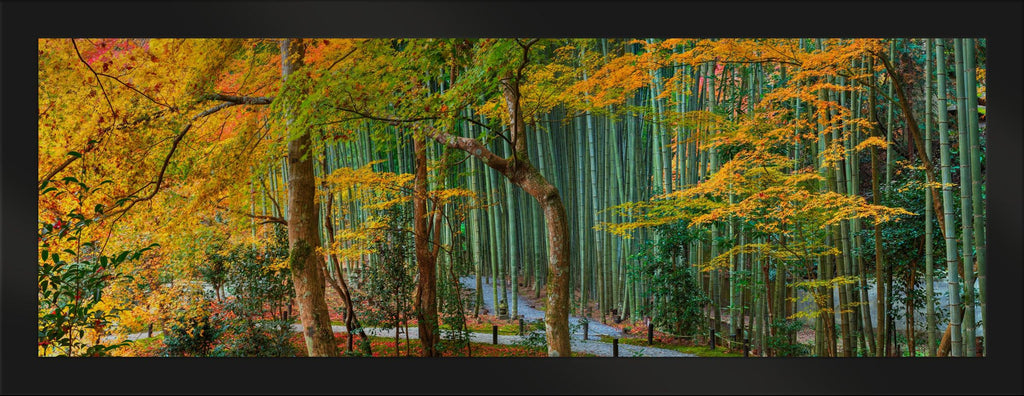 Open Edition #26. Landscape Photography by Peter Lik.
