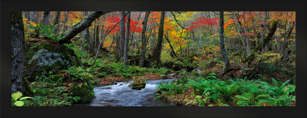 Open Edition #59. Landscape Photography by Peter Lik.