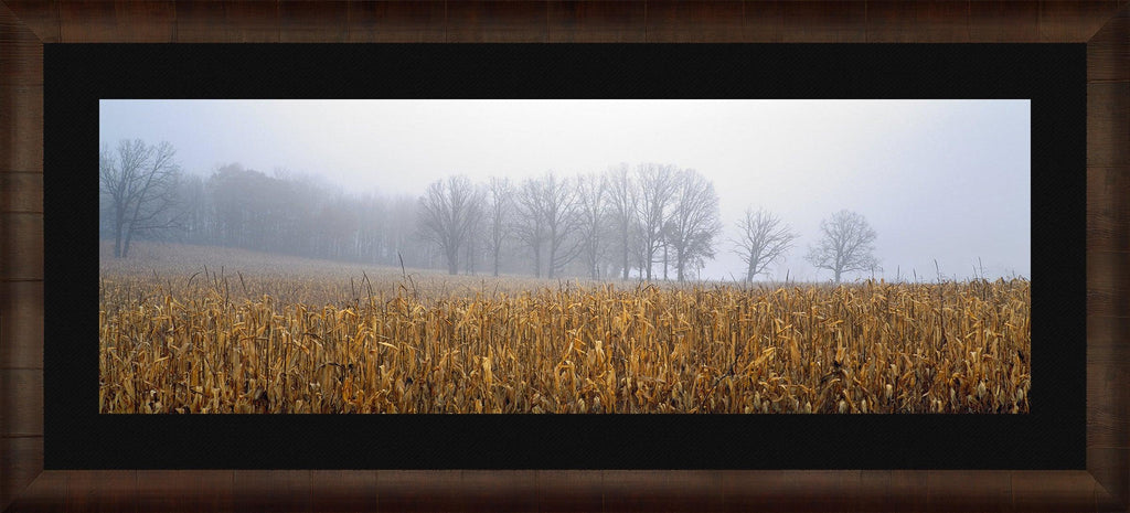 The Field. Fine Art Photograph by Peter Lik.
