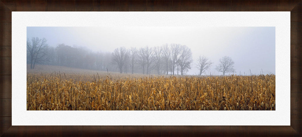 The Field. Fine Art Photograph by Peter Lik.