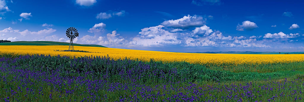 True Blue. Fine Art Photograph by Peter Lik.